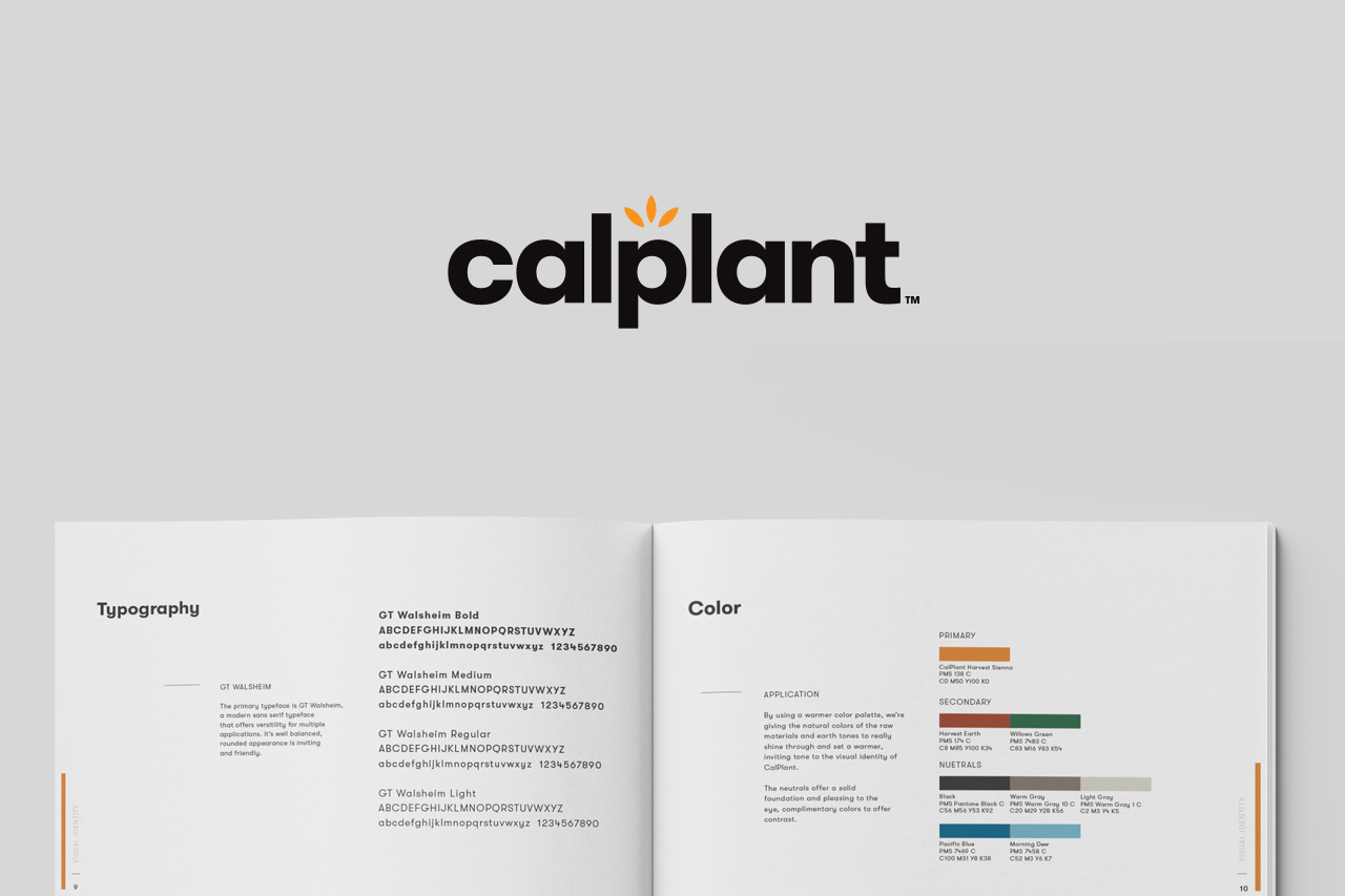 Creative Partner - Shannon Hester