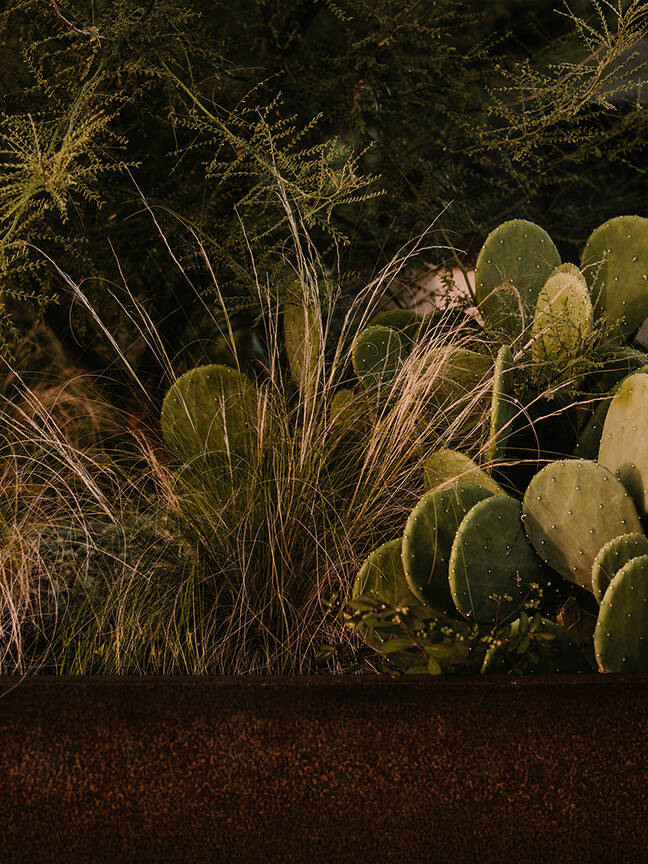Shannon Hester | Nashville Art Director, Designer, Photographer ...
